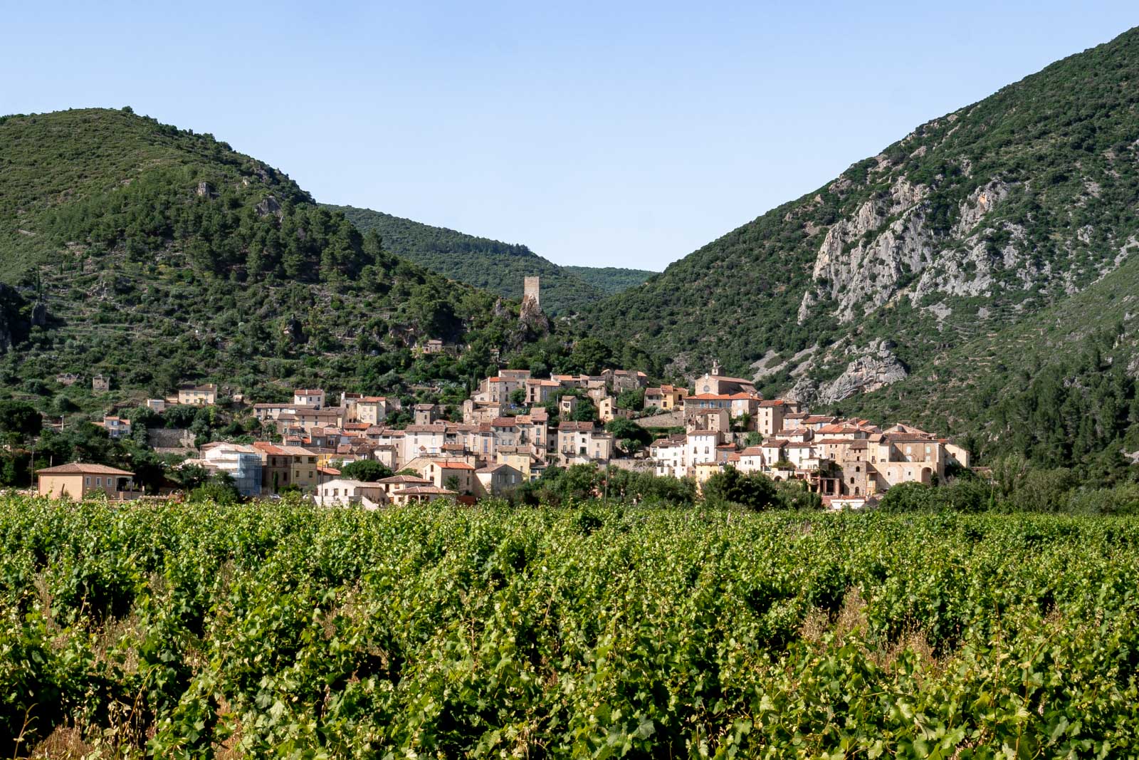 Un été à Roquebrun : voyage dans le Haut Languedoc - Petits Voyageurs